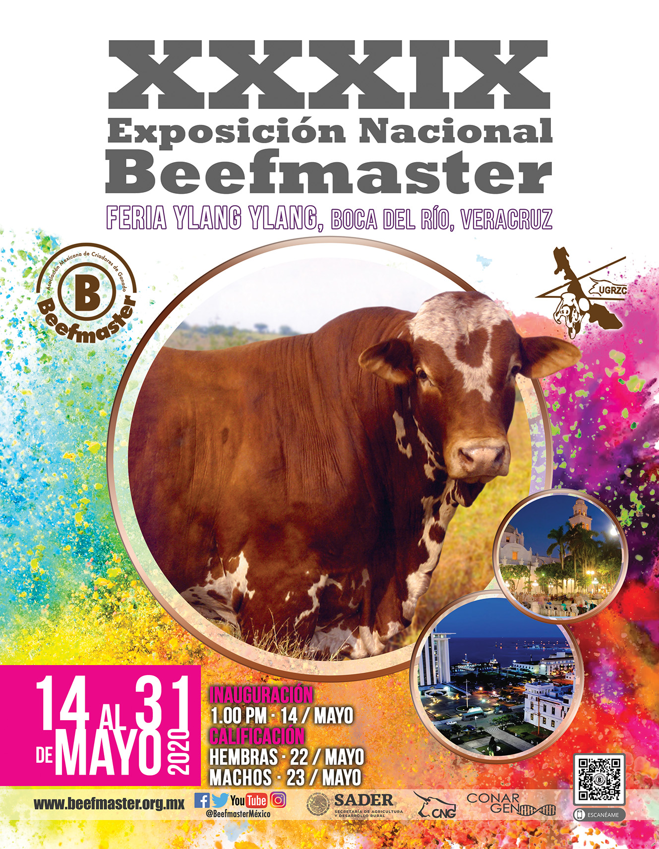 Asociación Mexicana de Criadores de Ganado Beefmaster - Raza